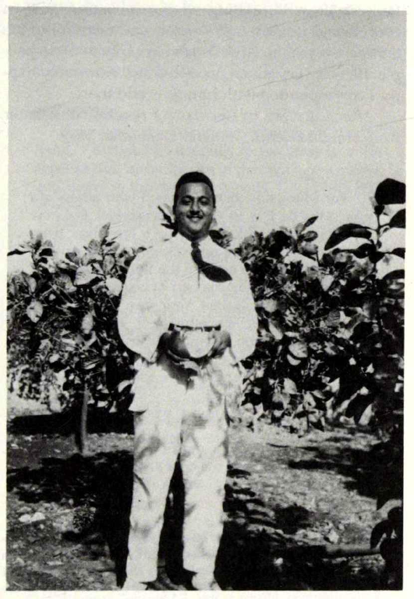 The Guardian Part 4 – The Utterance Project